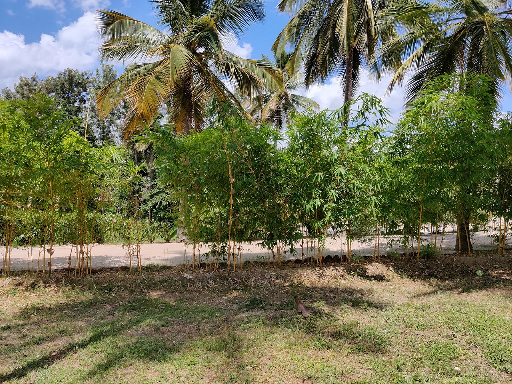 Gallery | The Gari Resorts Bangalore |The Gari Resorts Bangalore | Best ...